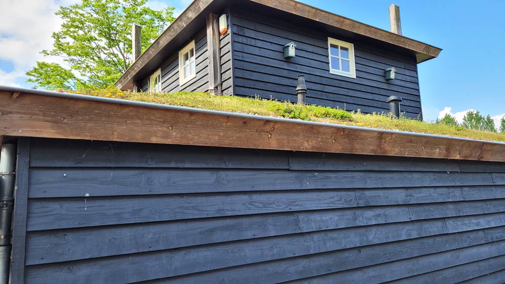 Hoe moet je beitsen? Binnen 6 stappen gedaan